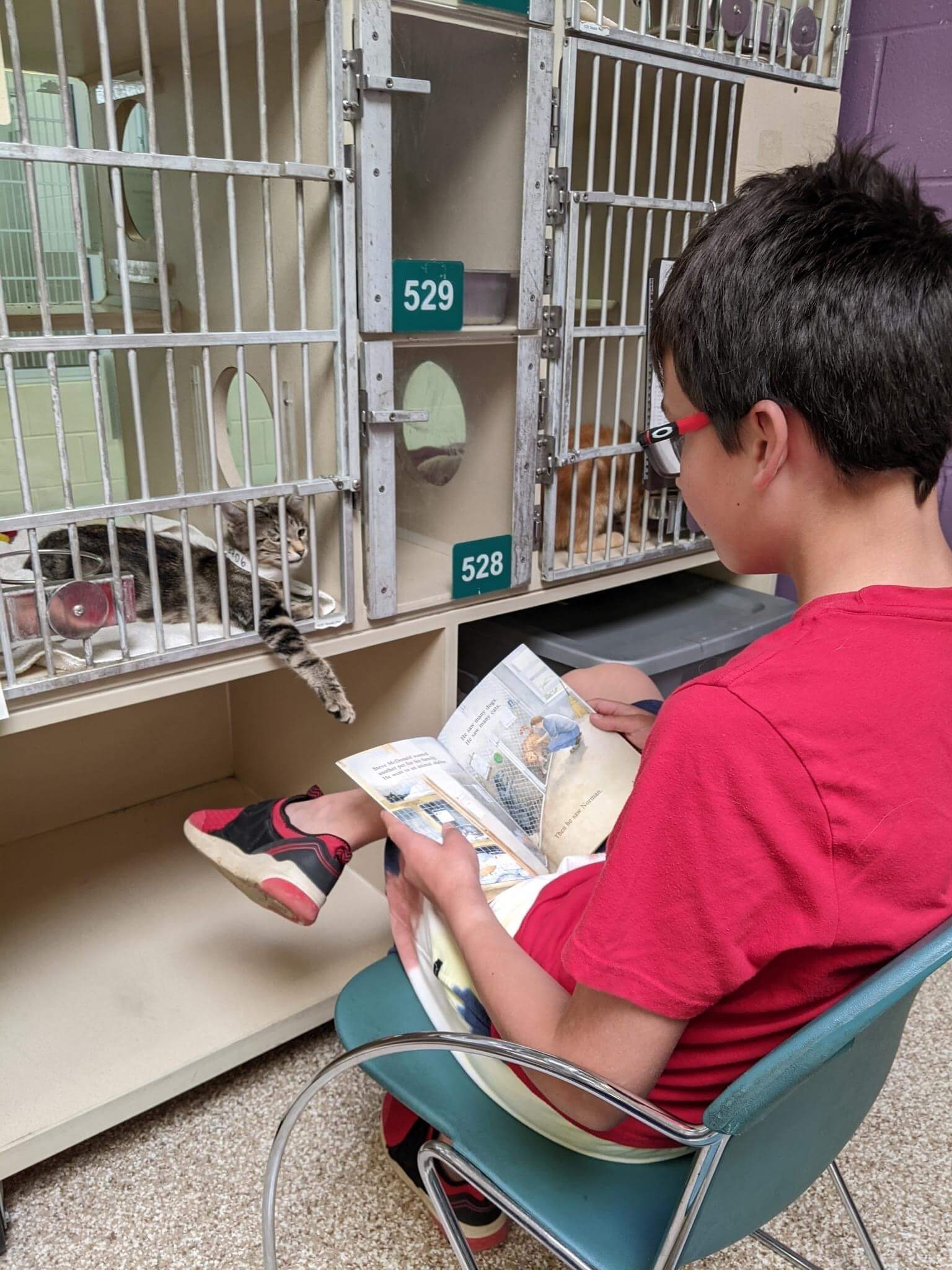 Will and trust - Planned Giving - Humane Society of the Pikes Peak Region